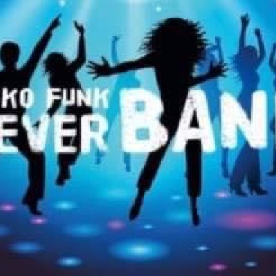 Disko Funk Fever Band | ePasslive